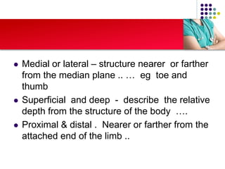 Human anatomy introduction | PPTX