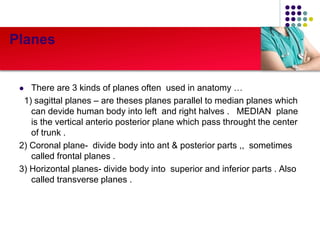 Human anatomy introduction | PPTX