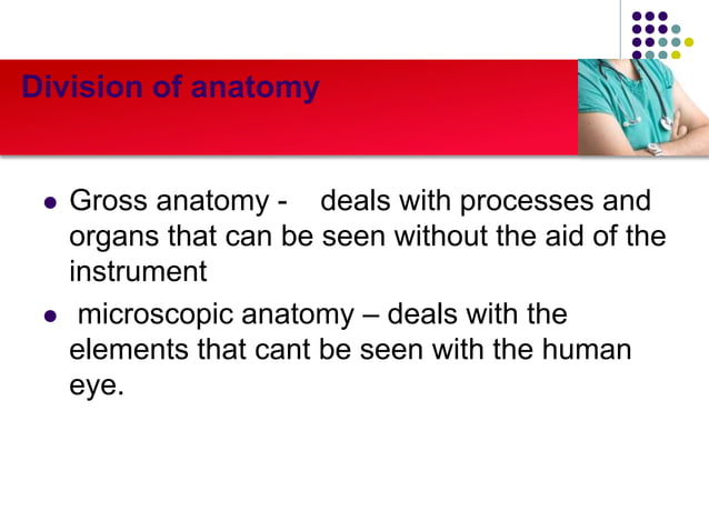 Human anatomy introduction | PPTX | Biological Sciences | Science