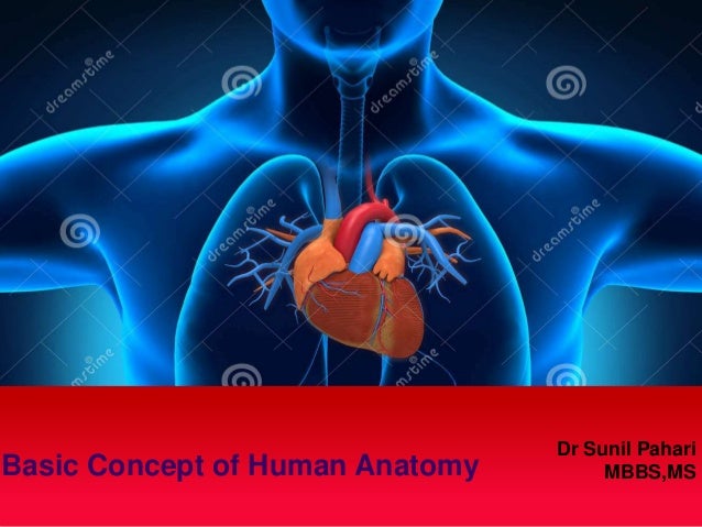 Introduction Of Human Anatomy