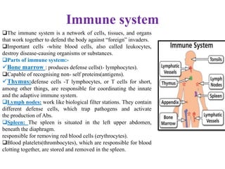 Human anatomy | PPTX