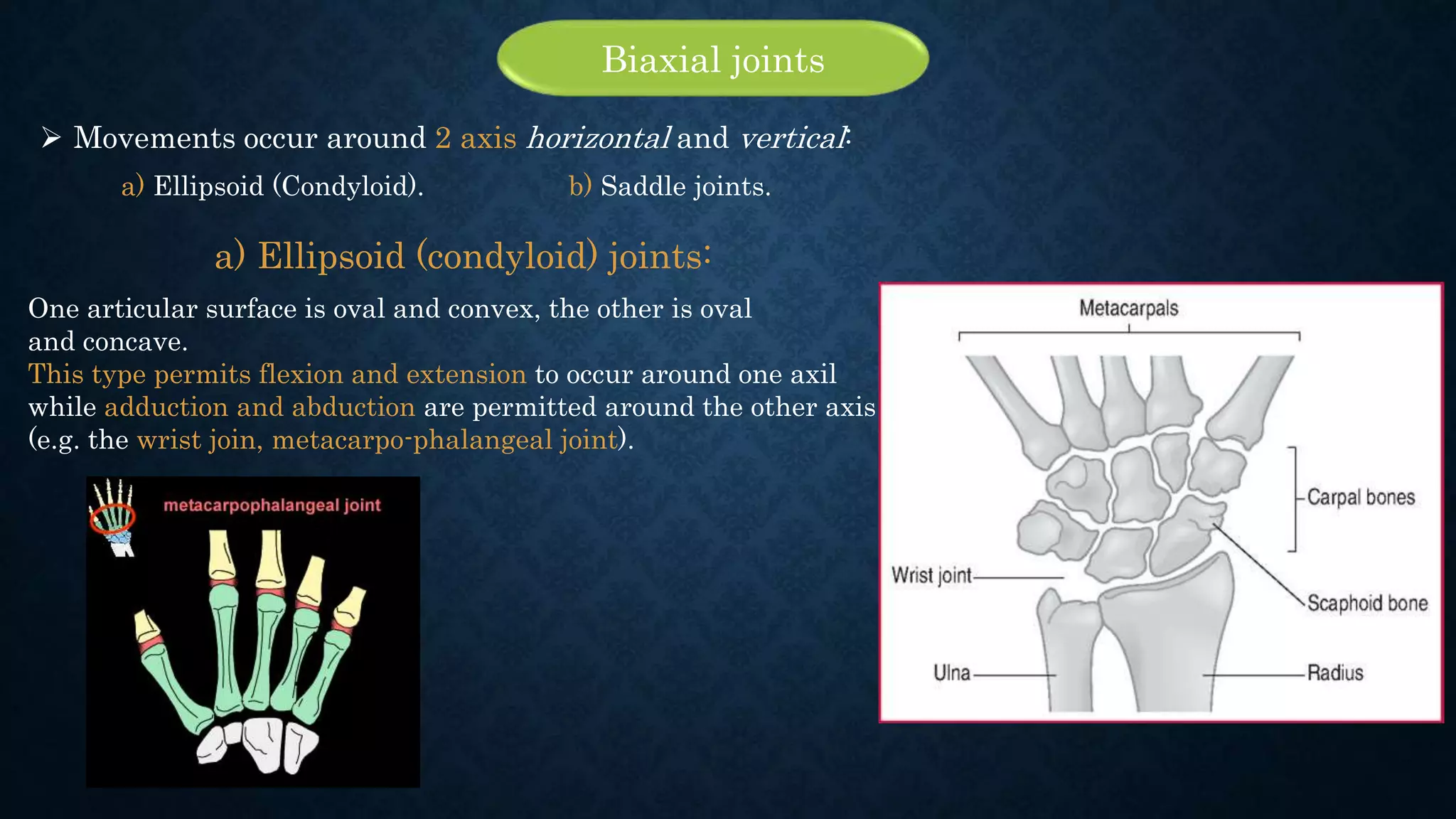 Human anatomy (Classification Of Joints) | PPTX