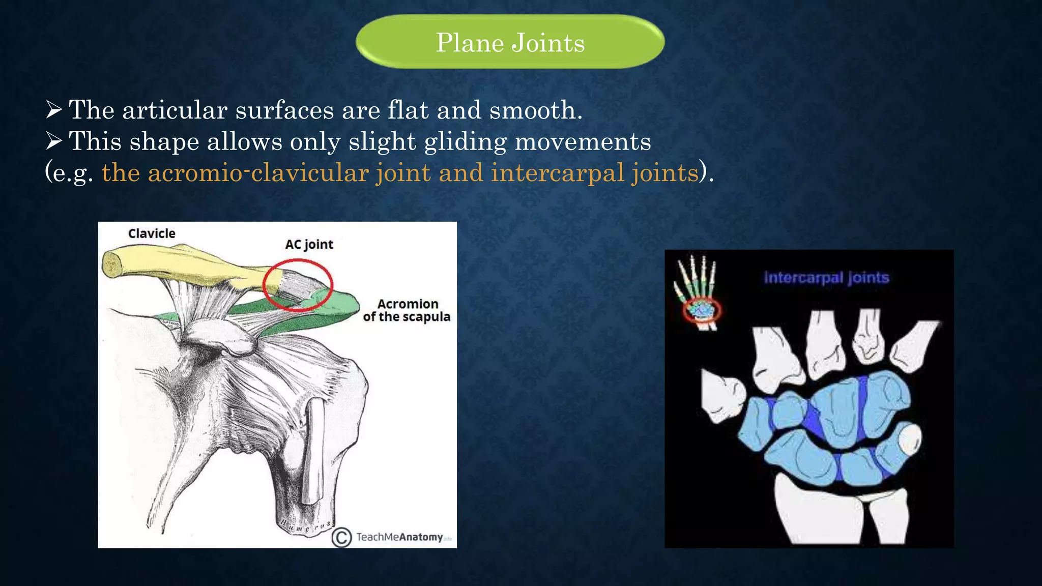 Human anatomy (Classification Of Joints) | PPTX