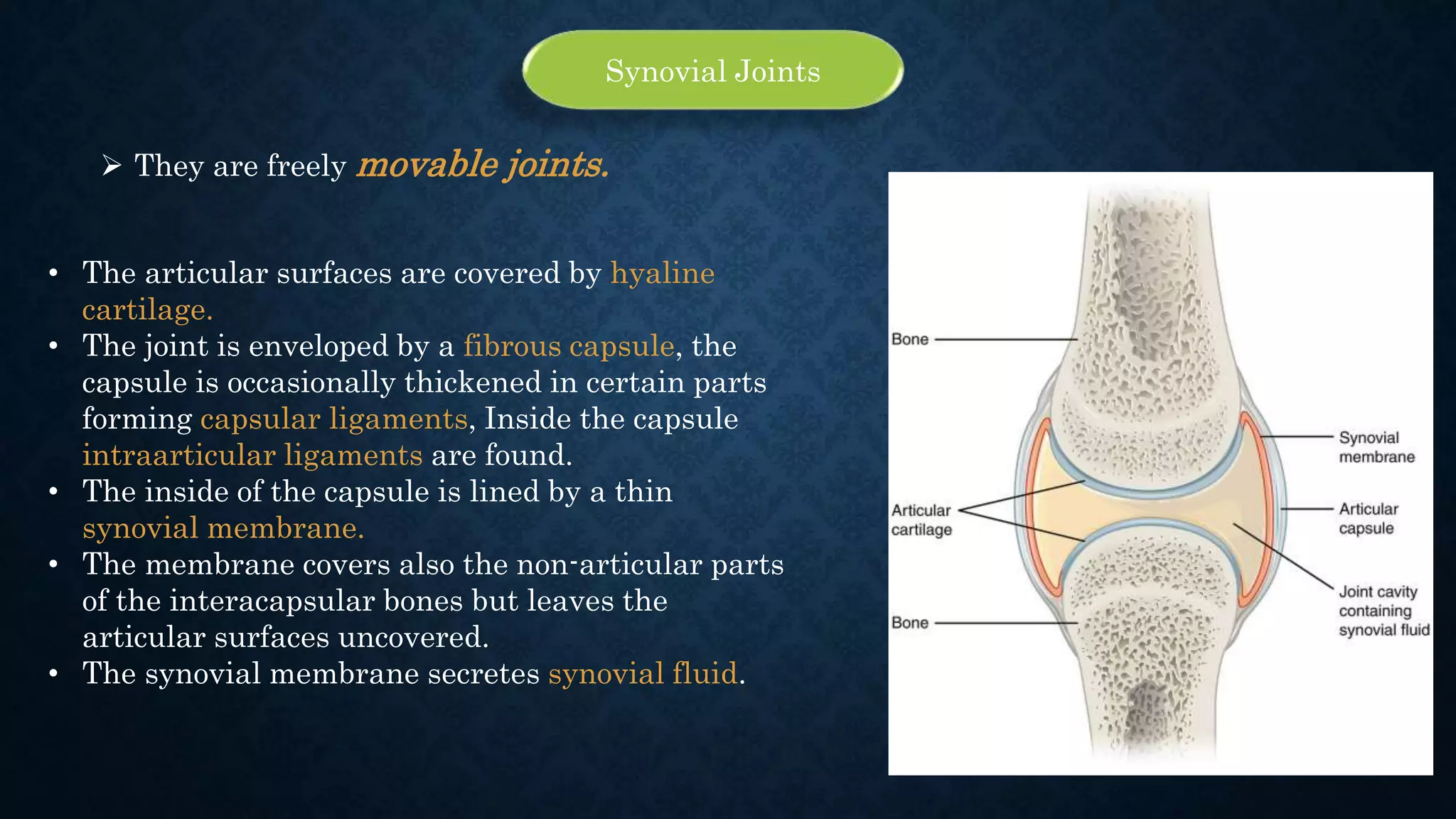 Human anatomy (Classification Of Joints) | PPTX
