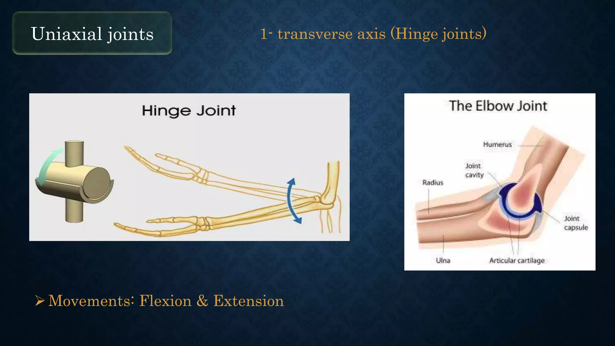 Human anatomy (Classification Of Joints) | PPTX