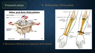 Human anatomy (Classification Of Joints) | PPTX