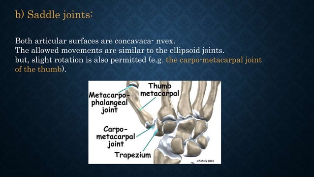 Human anatomy (Classification Of Joints) | PPTX