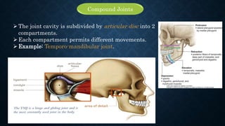 Human anatomy (Classification Of Joints) | PPTX