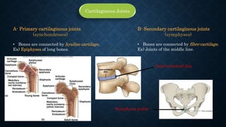 Human anatomy (Classification Of Joints) | PPTX