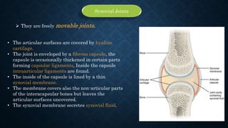 Human anatomy (Classification Of Joints) | PPTX
