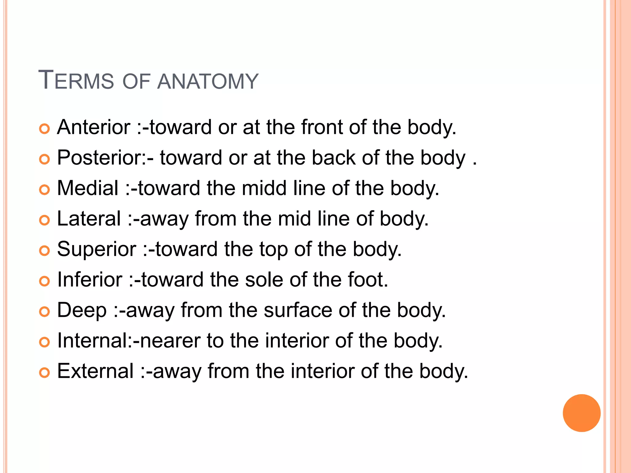 Human anatomy | PPTX