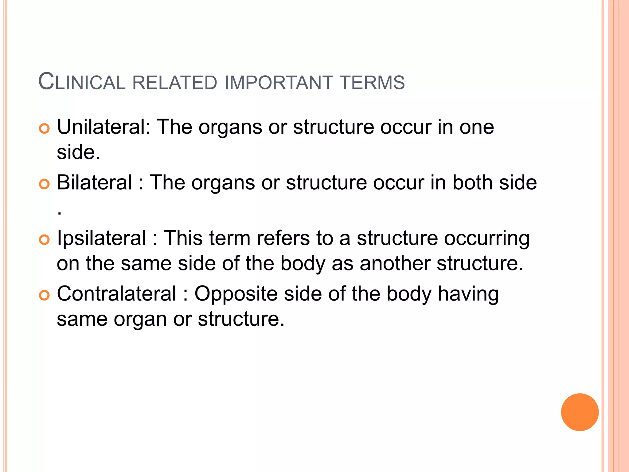 Human anatomy | PPTX