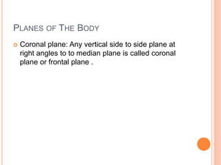 Human anatomy | PPTX