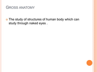 Human anatomy | PPTX