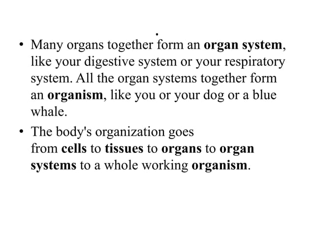 BASIC HUMAN ANATOMY AND PHYSIOLOGYIN BIOLOGY | PPT