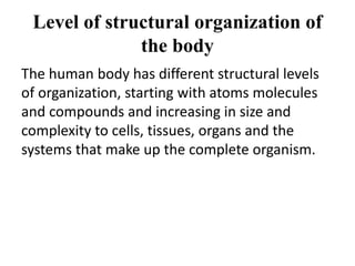 BASIC HUMAN ANATOMY AND PHYSIOLOGYIN BIOLOGY | PPTX
