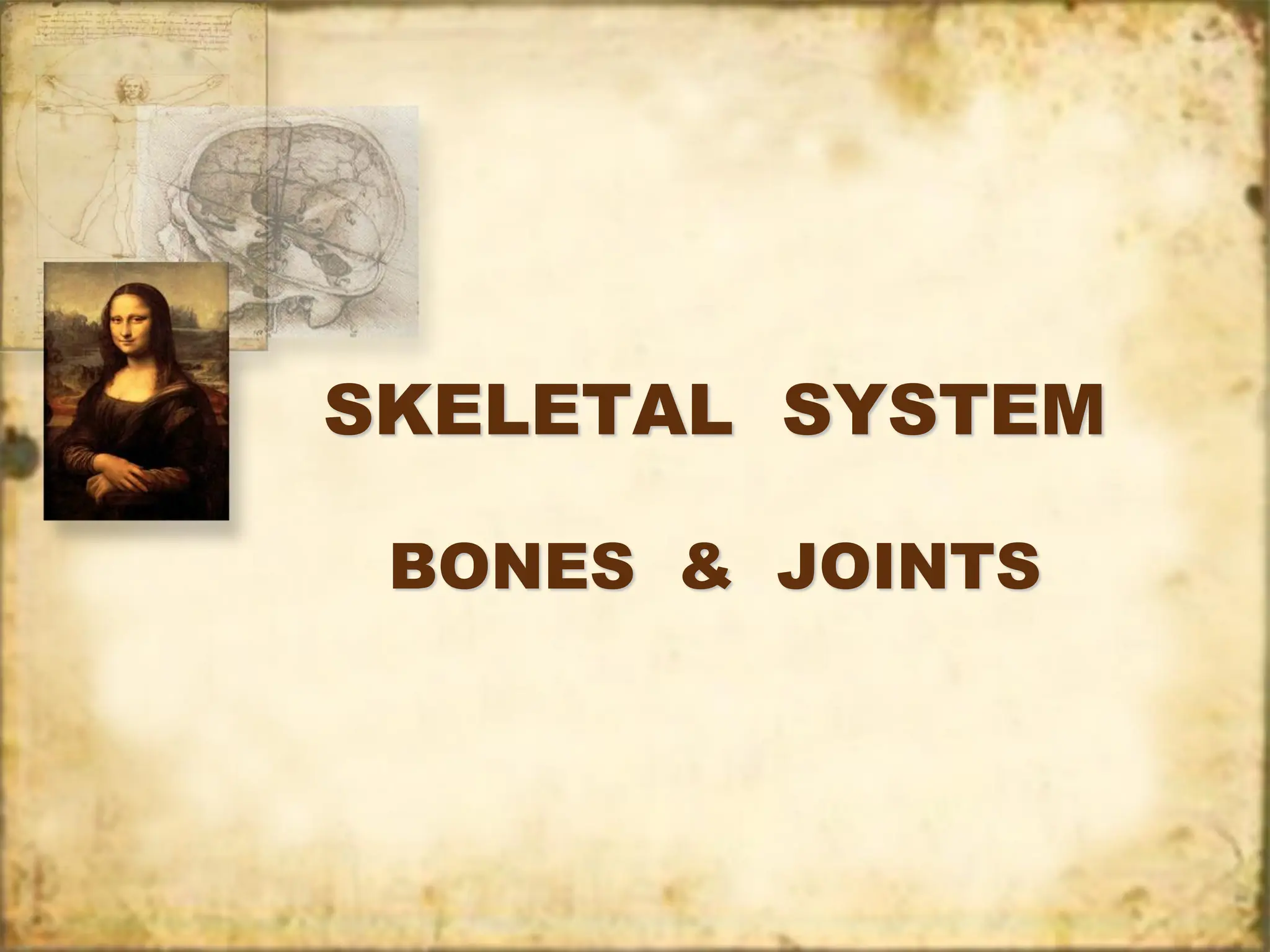 Human Anatomy - Skeletal System(Bones and Joints) (1).pdf