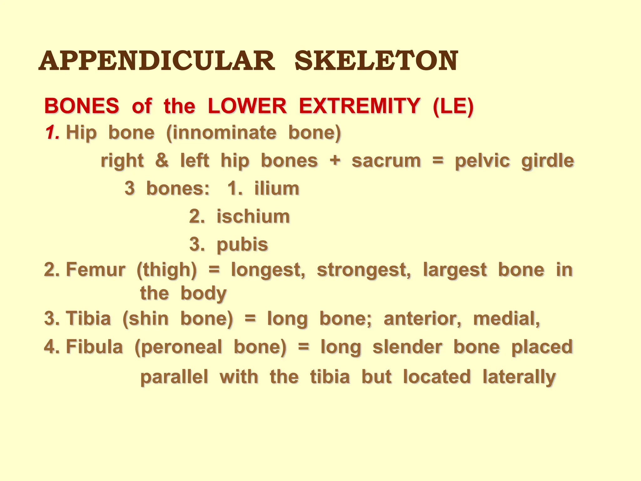 Human Anatomy - Skeletal System(Bones and Joints) (1).pdf