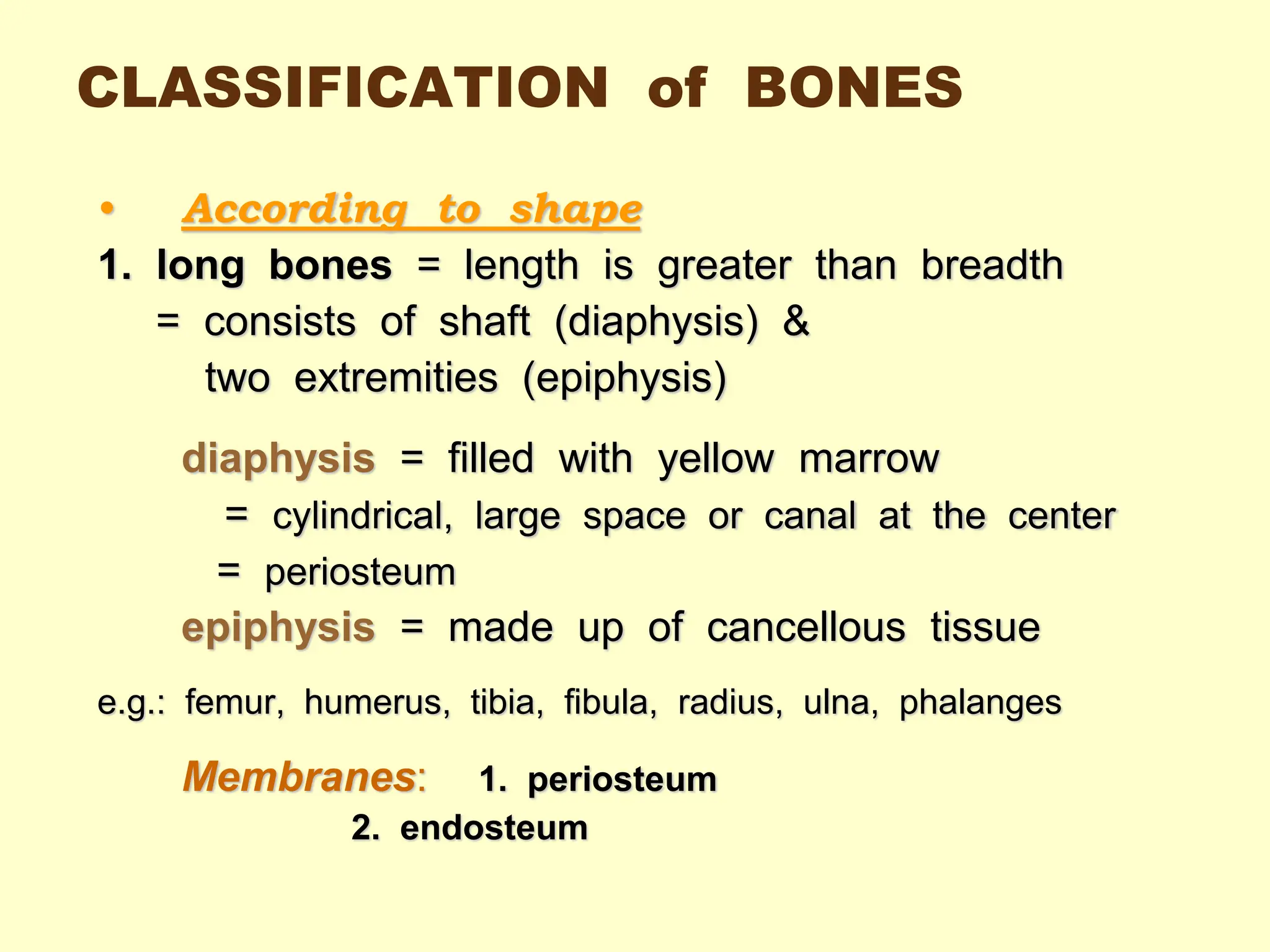 Human Anatomy - Skeletal System(Bones and Joints) (1).pdf