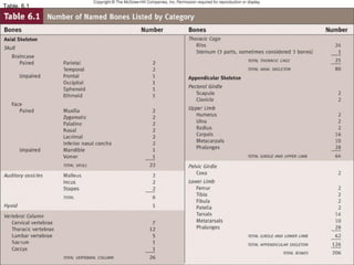 Human Anatomy - Skeletal System(Bones and Joints) (1).pdf