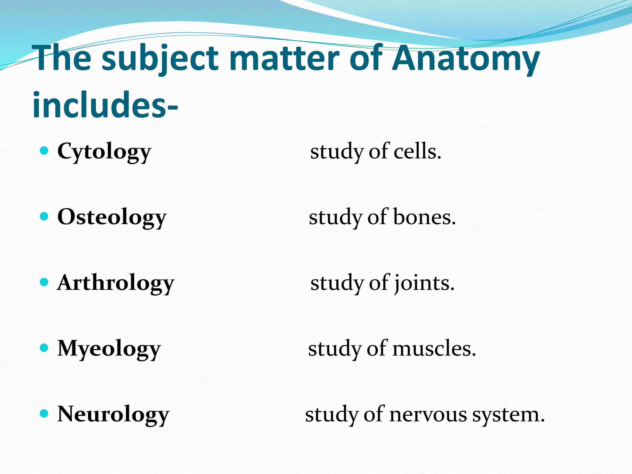 Human anatomy 1 | PPTX | Biological Sciences | Science