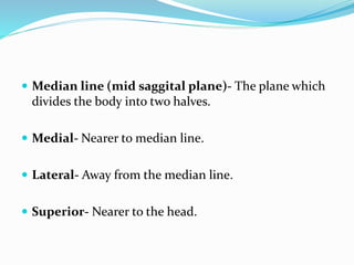 Human anatomy 1 | PPTX | Biological Sciences | Science