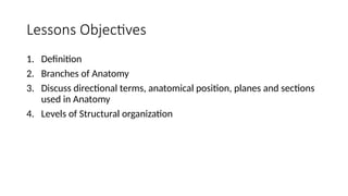 HUMAN ANATOMY 1 For Medical Students.pptx