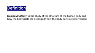 HUMAN ANATOMY 1 For Medical Students.pptx