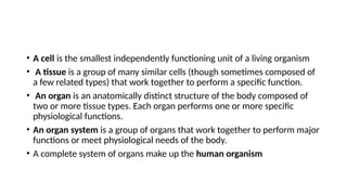 HUMAN ANATOMY 1 For Medical Students.pptx