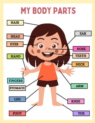 HUMAN ANATOMY_BAHAGI NG KATAWAN- (2).pdf