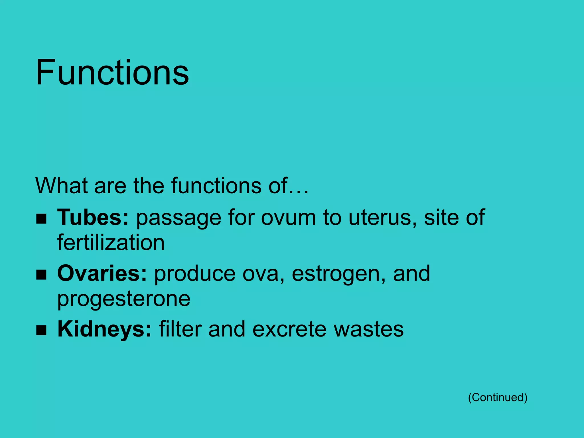 Anatomy And Physiology of Human | PPTX
