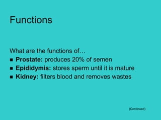 Anatomy And Physiology of Human | PPTX