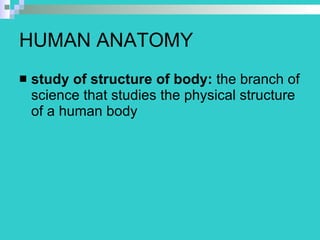 Human anatomy and physiology | PPT