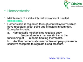 Human anatomy and physiology-Medical Coding training | PPT