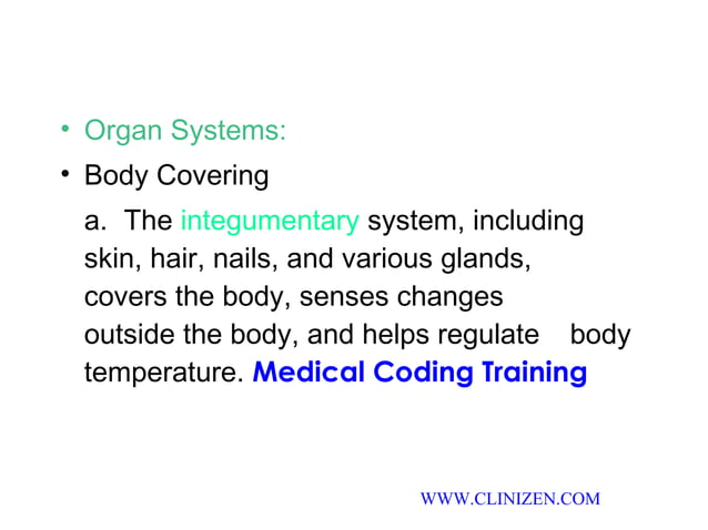 Human anatomy and physiology-Medical Coding training | PPT
