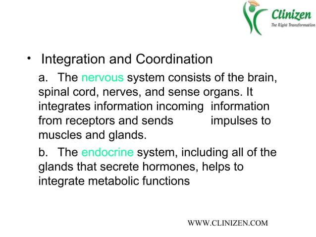 Human anatomy and physiology-Medical Coding training | PPT