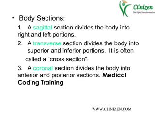 Human anatomy and physiology-Medical Coding training | PPT
