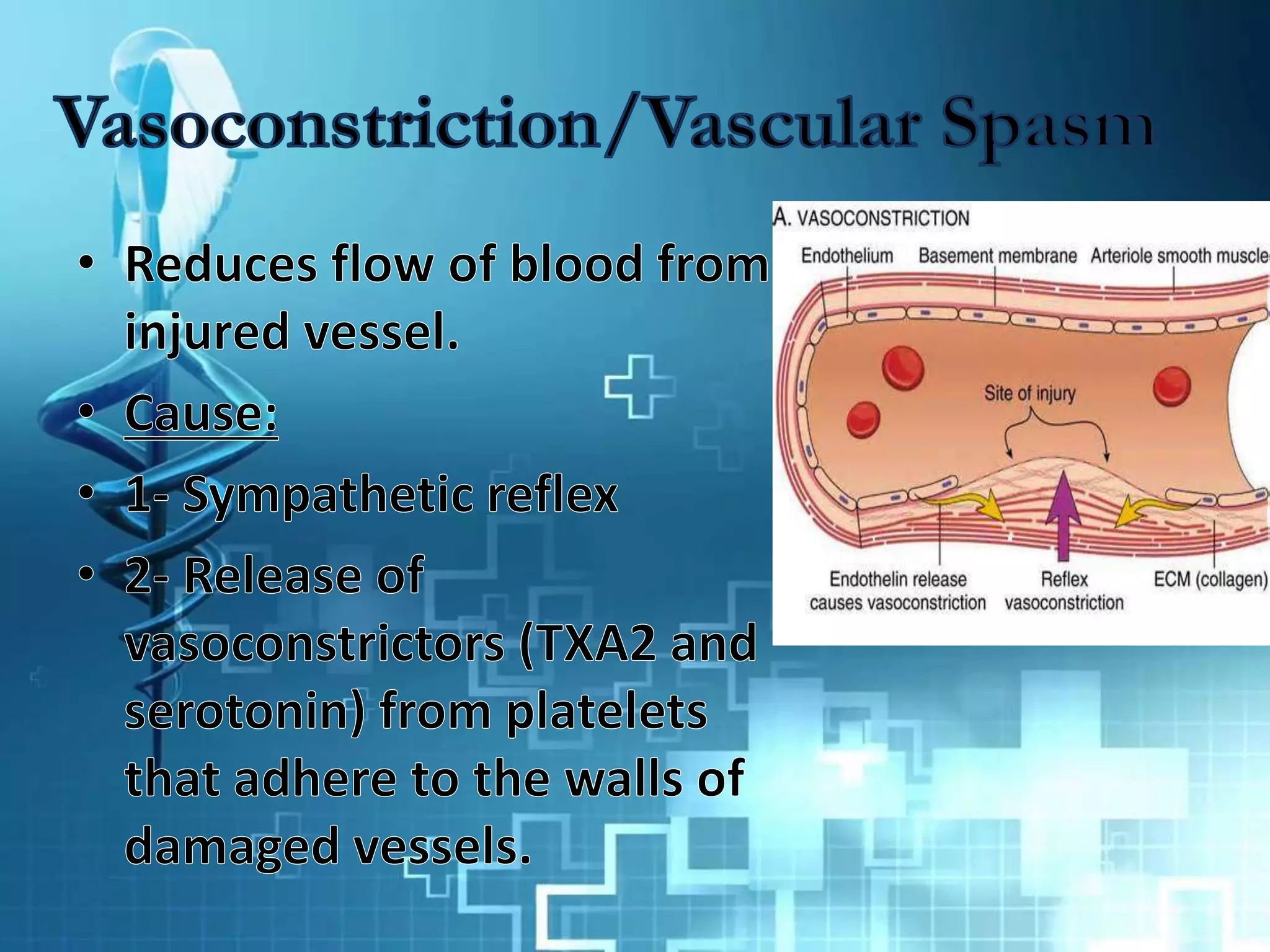 Platelets, Blood Coagulation And Blood Grouping. | PPTX