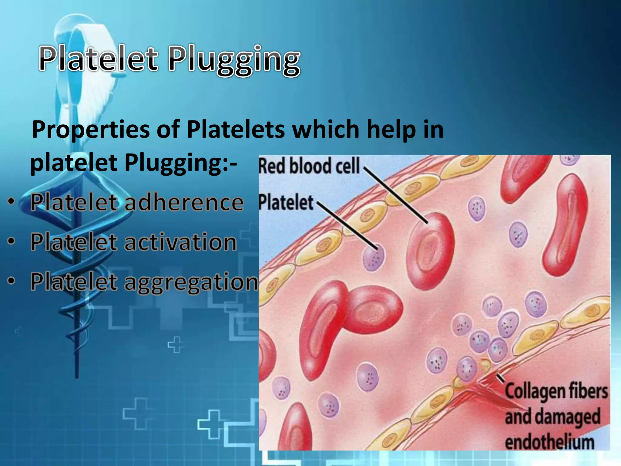 Platelets, Blood Coagulation And Blood Grouping. | PPTX