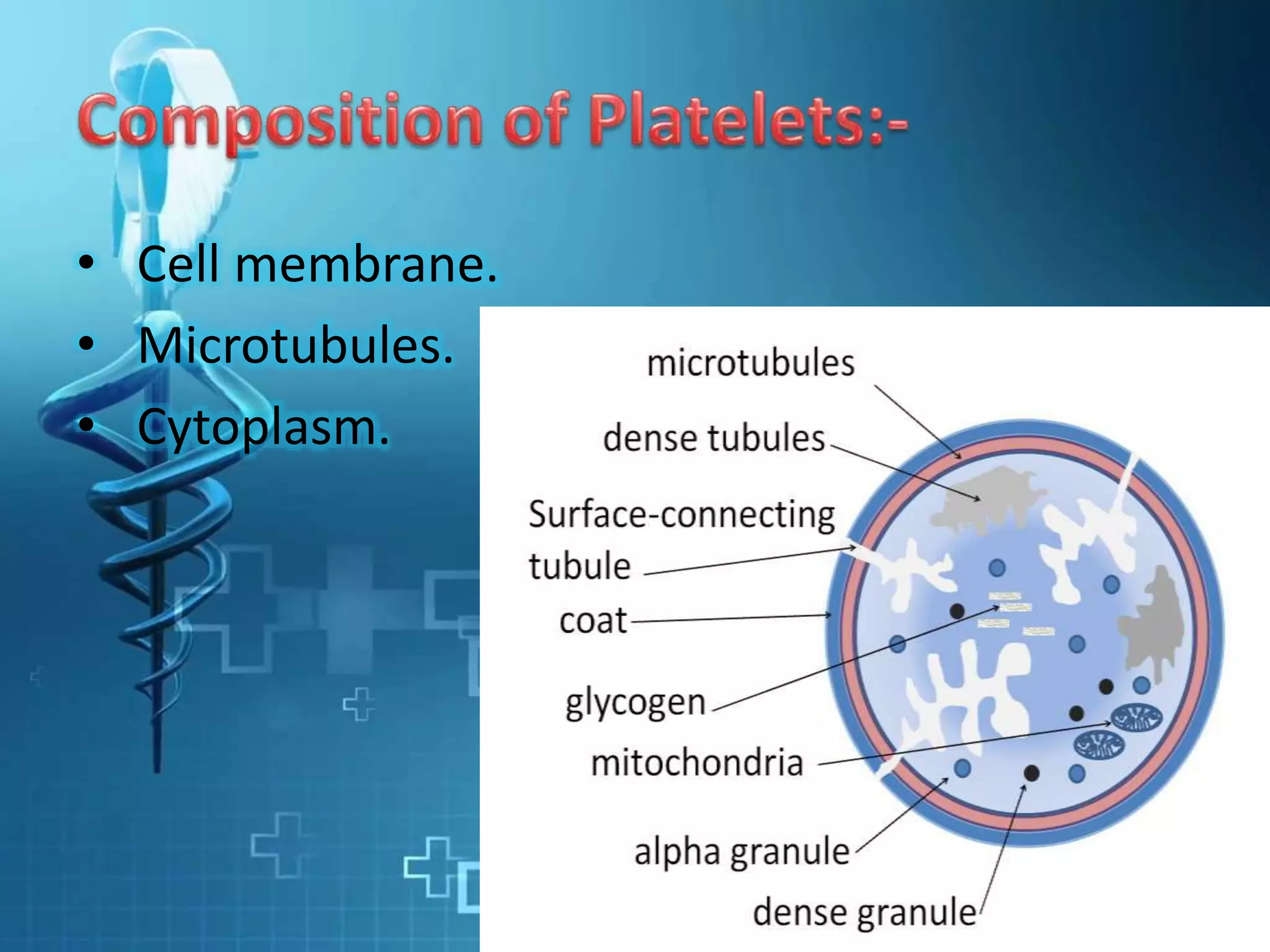 Platelets, Blood Coagulation And Blood Grouping. | PPTX