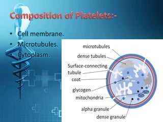 Platelets, Blood Coagulation And Blood Grouping. | PPTX
