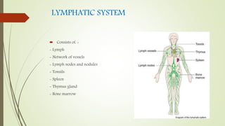 Human anatomy and physiology.pptx