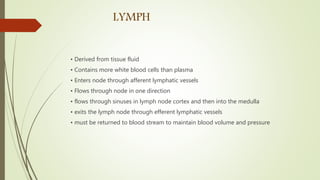Human anatomy and physiology.pptx