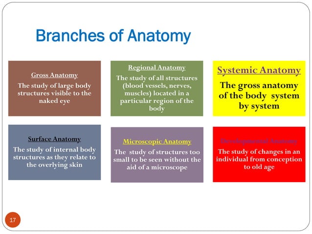 Human Anatomy and Physiology-Introduction.pdf