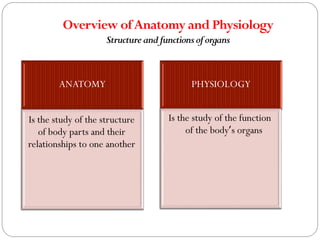 Human Anatomy and Physiology-Introduction.pdf