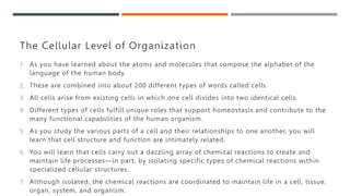 Human Anatomy and Physiology 1 - Chapter 2.pptx