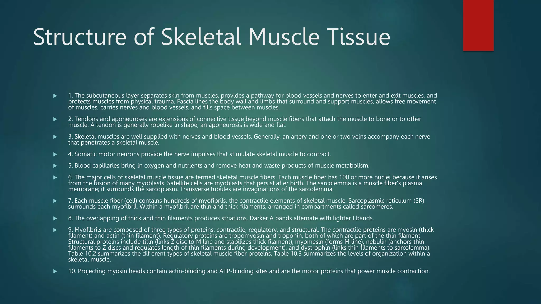 Human Anatomy and Physiology 1 - Chapter 6.pptx
