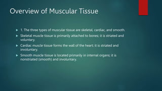 Human Anatomy and Physiology 1 - Chapter 6.pptx