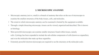 Human anatomy and physiology lesson | POTX