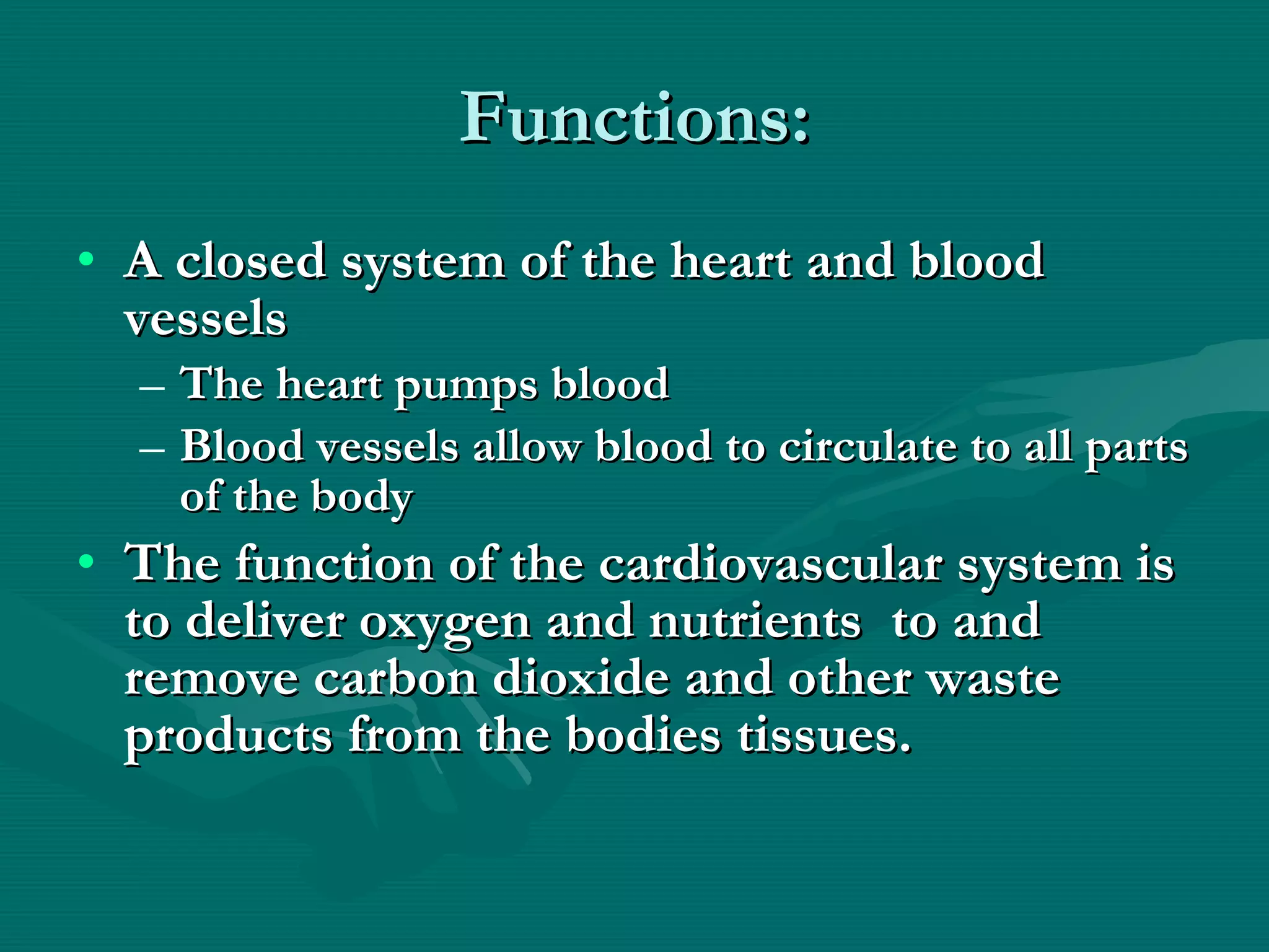 Human anatomy and physiology the cardiovascular system 1 | PPT